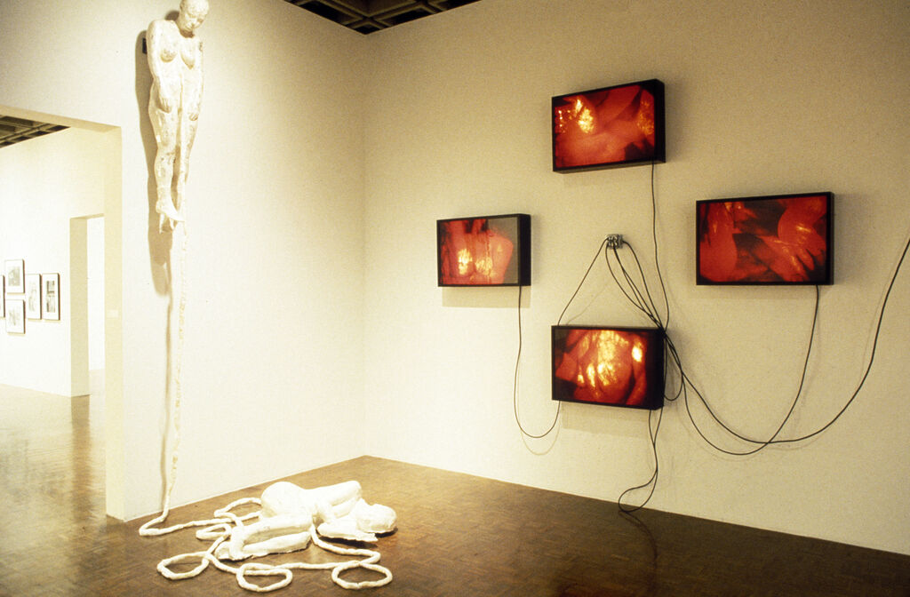 Whitney Biennial 1993 | Whitney Museum of American Art