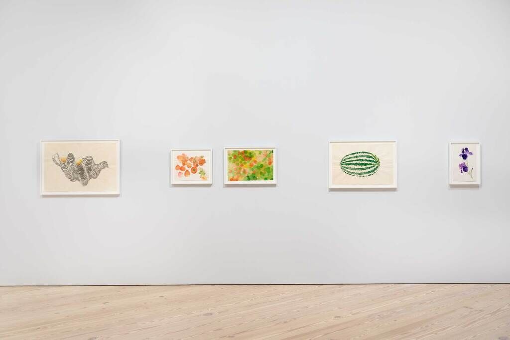 Ruth Asawa Through Line | Whitney Museum of American Art