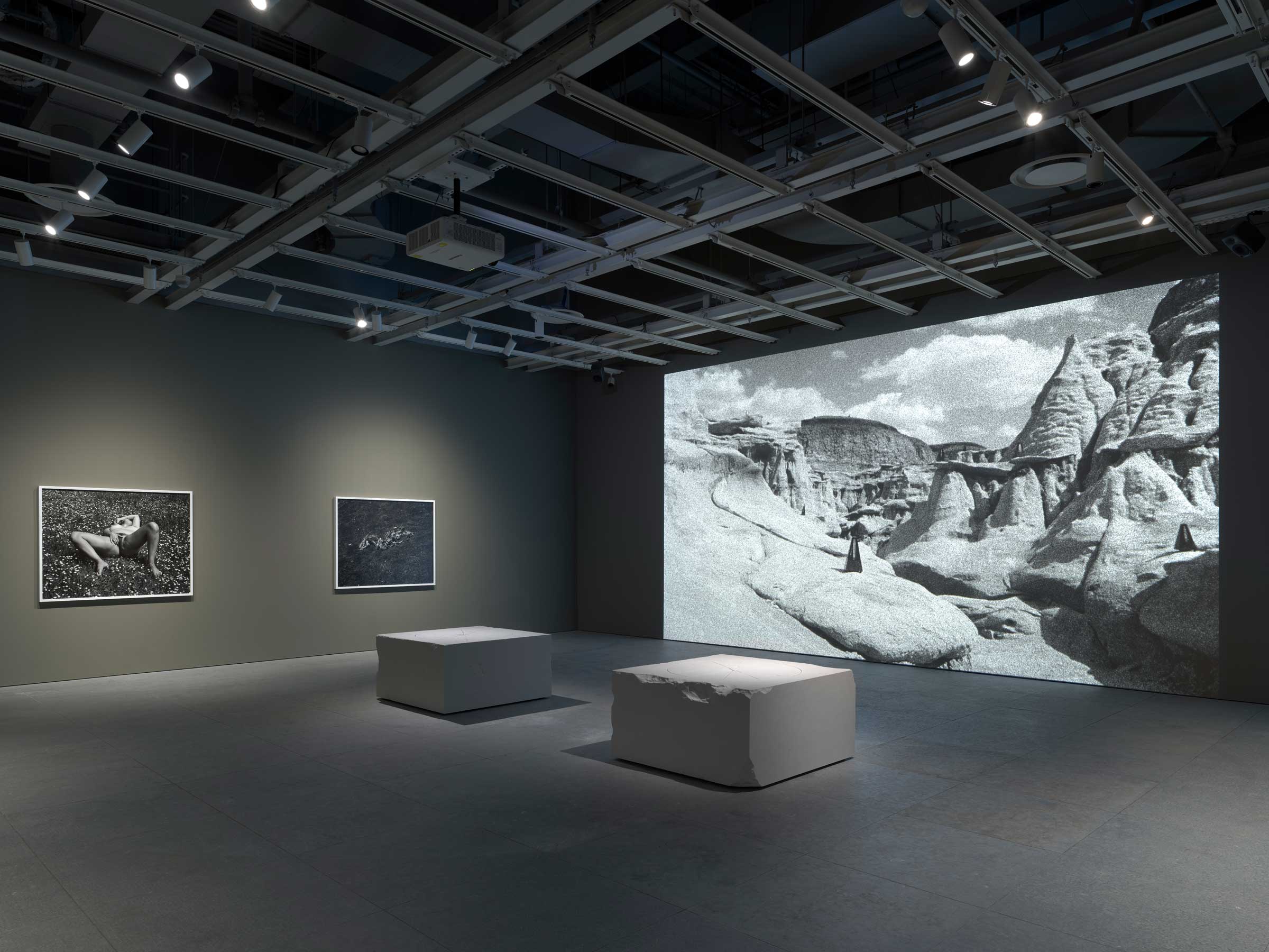 Looking at Mark Armijo McKnight’s Decreation | Whitney Museum of ...