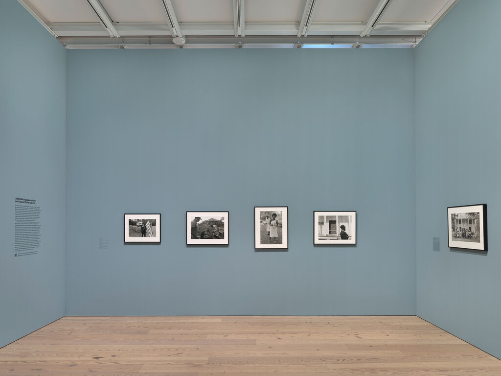 Jeanne Moutoussamy-Ashe and the Last Gullah Islands | Whitney Museum of ...