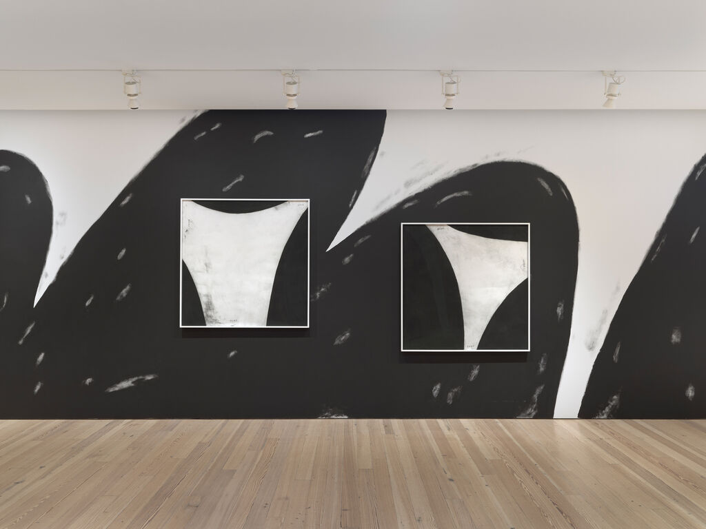 Christine Sun Kim: All Day All Night | Whitney Museum of American Art
