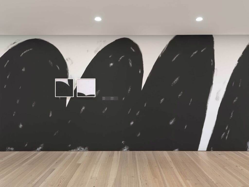 Christine Sun Kim: All Day All Night | Whitney Museum of American Art