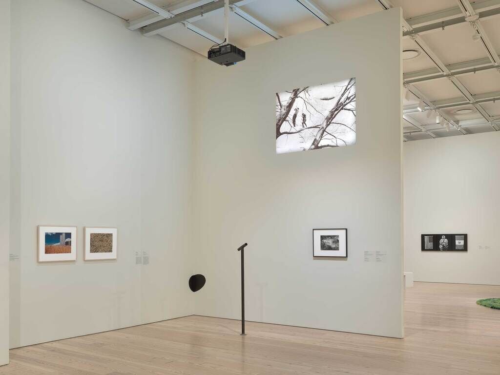 Shifting Landscapes | Whitney Museum of American Art